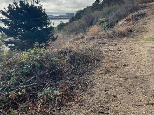 2 Bayshore Blvd, Brisbane, CA 94005 | MLS #425067