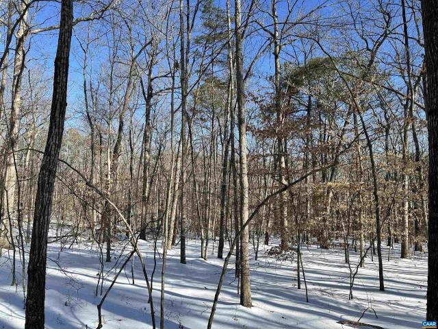 2 Beaverdam Rd, Unit 2, Keswick, VA 22947 | MLS #673063