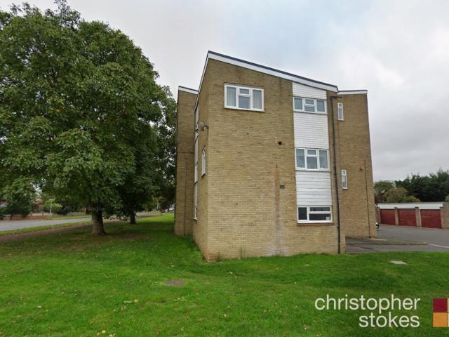 2 Bed Apartment For Rent