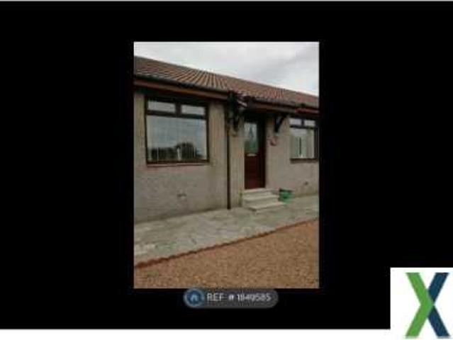 2 bed bungalow to rent