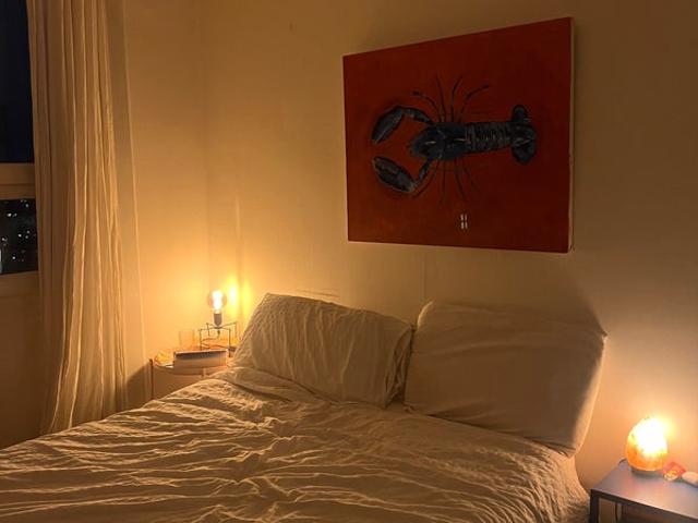 2 bed city centre flat