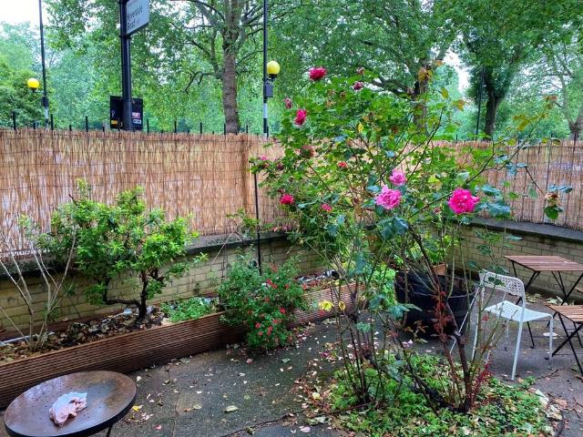 2 Bed Flat, Northwold Road, N16