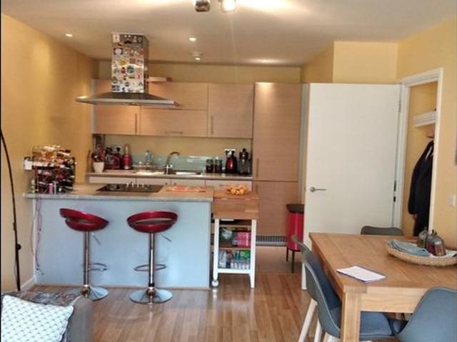 2 Bed Flat, George Hudson Tower, E15