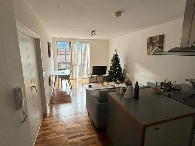 2 Bed Flat, The Hacienda, M1