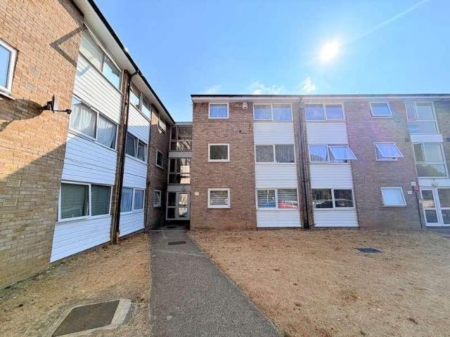 2 bed flat to rent
