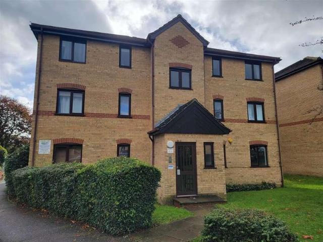 2 bed flat to rent