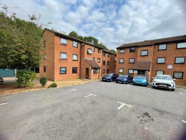 2 bed flat to rent