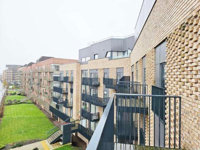 2 bed flat to rent