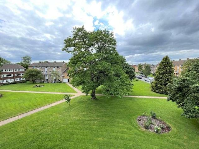 2 bed flat to rent