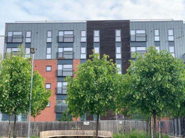 2 bed flat to rent