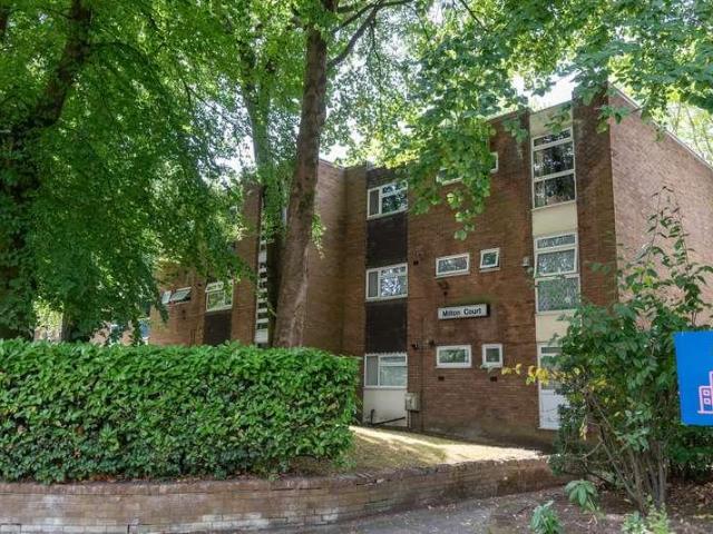 2 bed flat to rent
