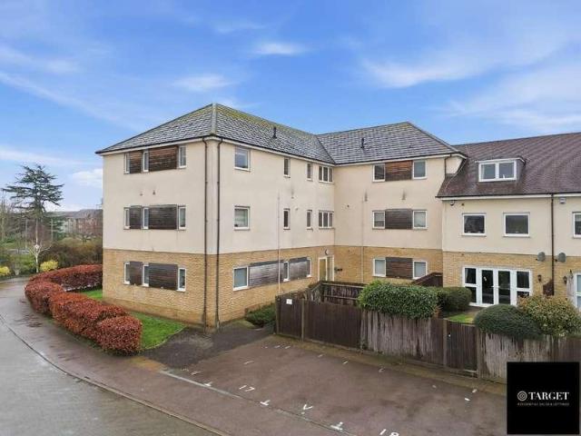 2 bed flat to rent