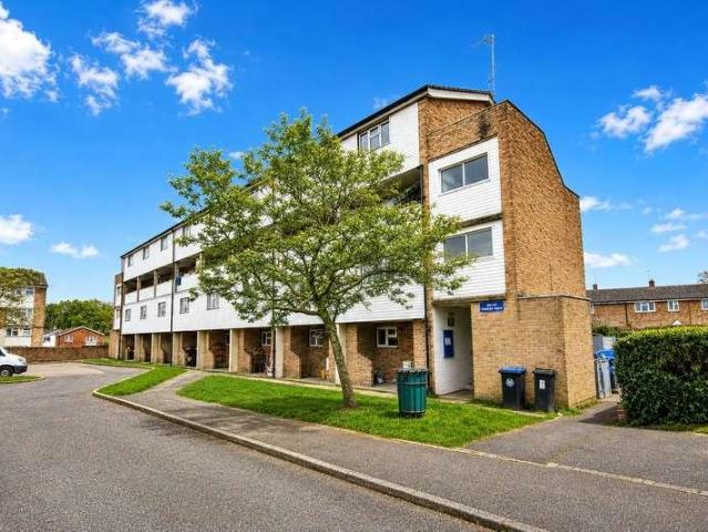 2 bed flat to rent