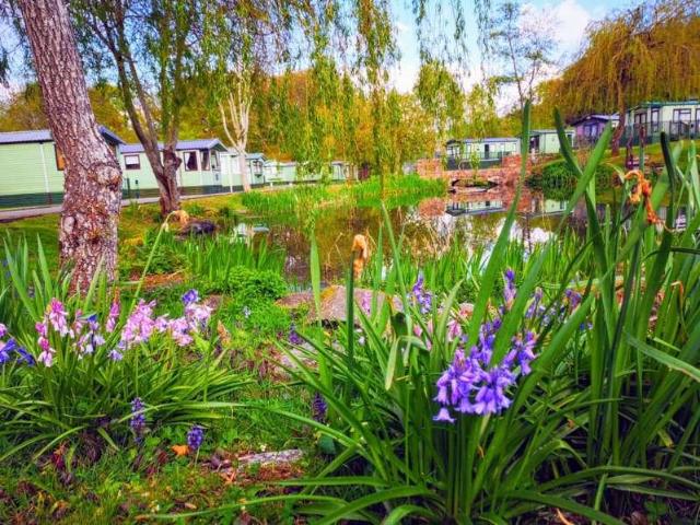 2 bed property for sale