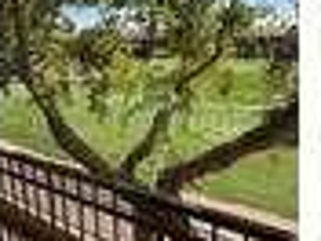 2 Bedroom 2 Bath In Mesa AZ 85203