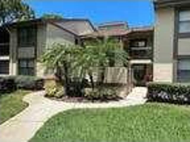 2 Bedroom 2 Bath In Oldsmar FL 34677