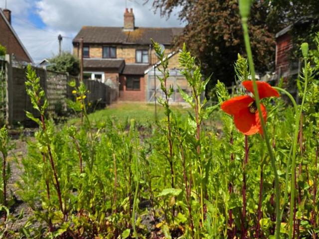 2 bedroom cottage for sale