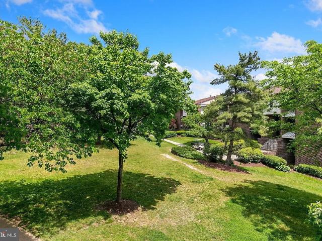 2 Bedroom Condo for Rent at 11216 Cherry Hill Road #102, Beltsville, MD 20705 Beltsville