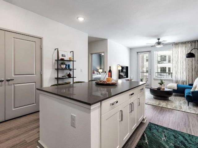 2 Bedroom Condo for Rent at 2001 Plateau Vista Blvd #200, Round Rock, TX 78665 Palm Market Center