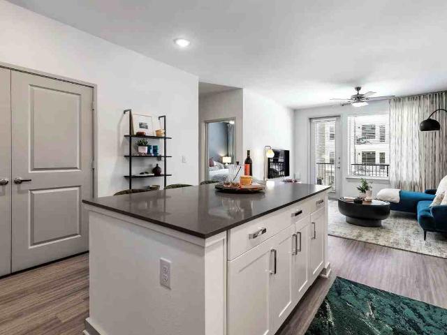 2 Bedroom Condo for Rent at 2001 Plateau Vista Blvd #200, Round Rock, TX 78665 Palm Market Center