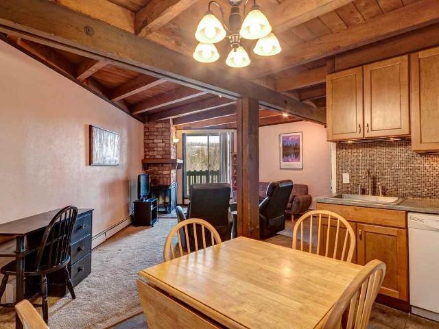 2 Bedroom Condo for Rent at 201 C Treehouse, Silverthorne, CO 80498