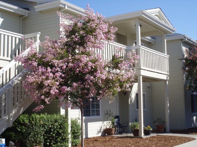 2 Bedroom Condo for Rent at 248 Tuscany Pl, Sonoma, CA 95476