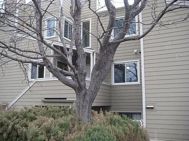 2 Bedroom Condo for Rent at 3725 Birchwood Dr #23, Boulder, CO 80304 Winding Trail
