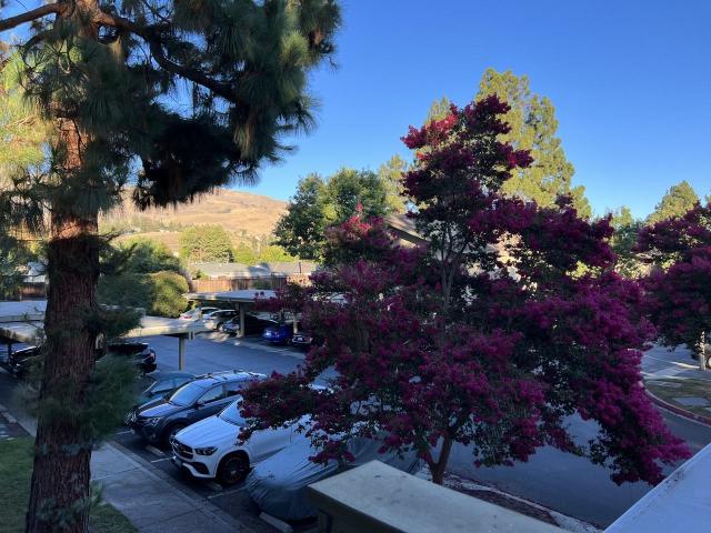 2 Bedroom Condo for Rent at 46856 Fernald Cmn #36, Fremont, CA 94539 Warm Springs