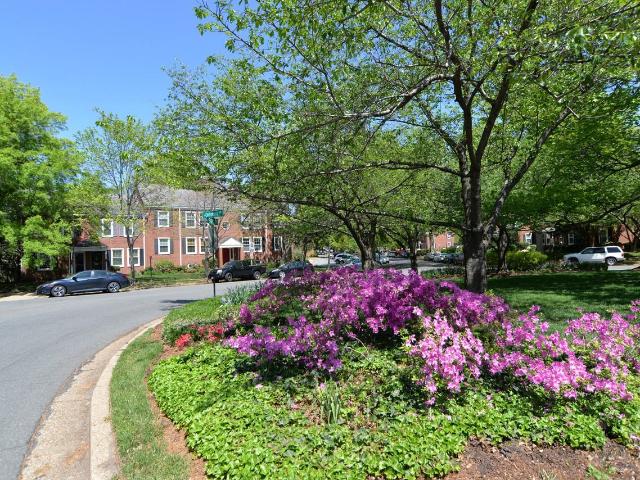 2 Bedroom Condo for Rent at 4811 30th St S #B2, Arlington, VA 22206 Fairlington Shirlington