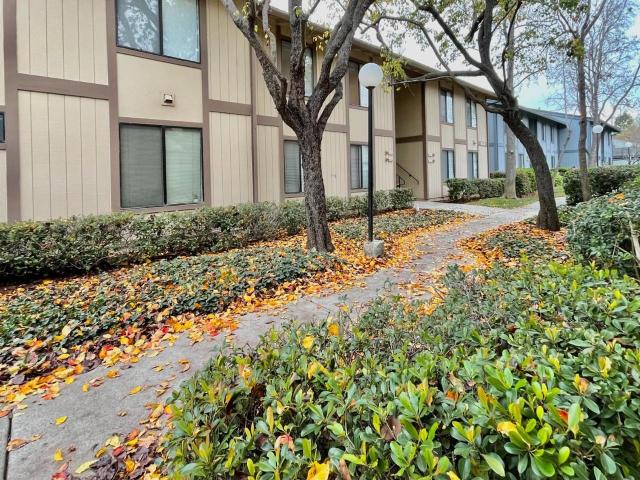 2 Bedroom Condo for Rent at 6292 Joaquin Murieta Ave, Newark, CA 94560 Newark