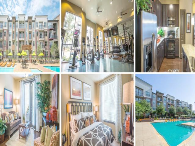 2 bedroom, Central Plano TX 75075 77109782