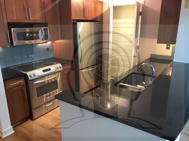 2 bedroom, CHICAGO IL 60605 78117522