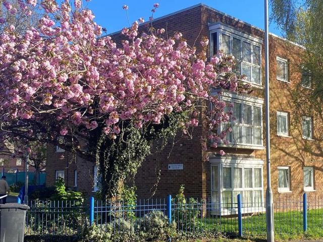 2 Bedroom Apartment Flat