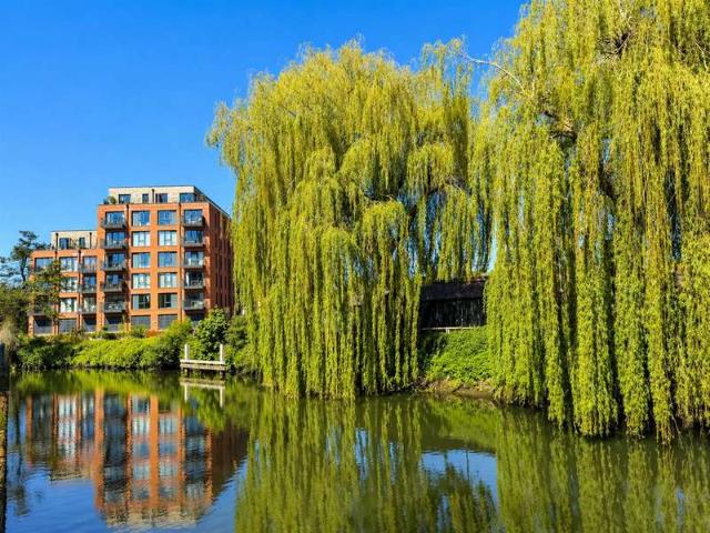 2 Bedroom Apartment Flat