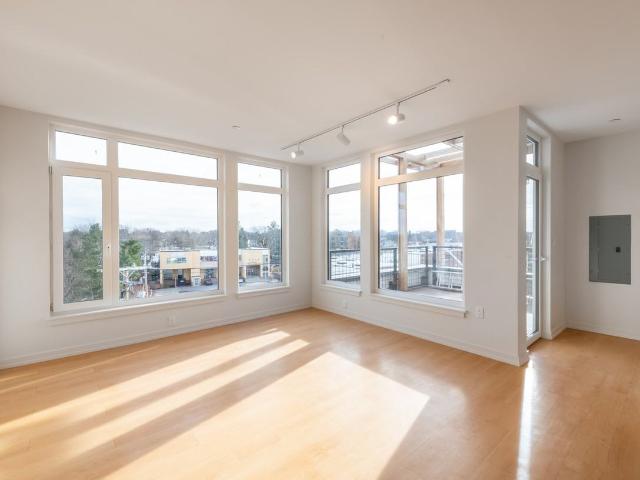 2 Bedroom Apartment for Rent at New Street, Cambridge, MA 02138 Neighborhood Nine