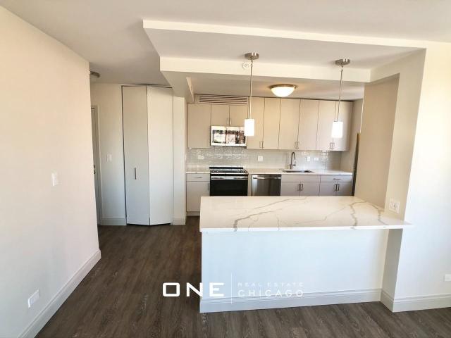 2 Bedroom Apartment for Rent at W Illinois & Orleans #3, Chicago, IL 60654 River North