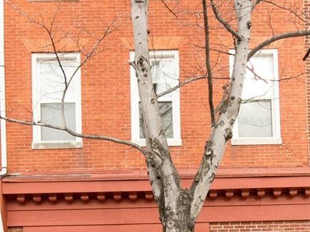 2 Bedroom Apartment for Rent at 1510 E Baltimore St #1, Baltimore, MD 21231 Washington Hill