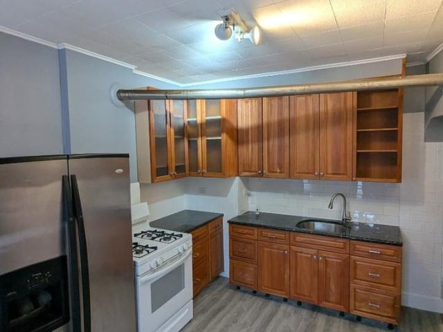 2 Bedroom Apartment for Rent at 11339 S Langley Ave #1, Chicago, IL 60628 Pullman