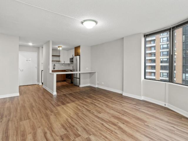 2 Bedroom Apartment for Rent at 1212 S Michigan Ave #2 2, Chicago, IL 60605 South Loop
