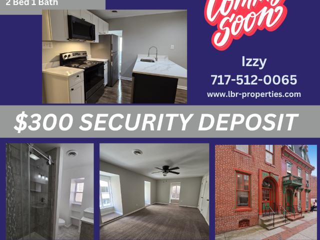 2 Bedroom Apartment for Rent at 127 Pine St #3, Harrisburg, PA 17101 Downtown Harrisburg