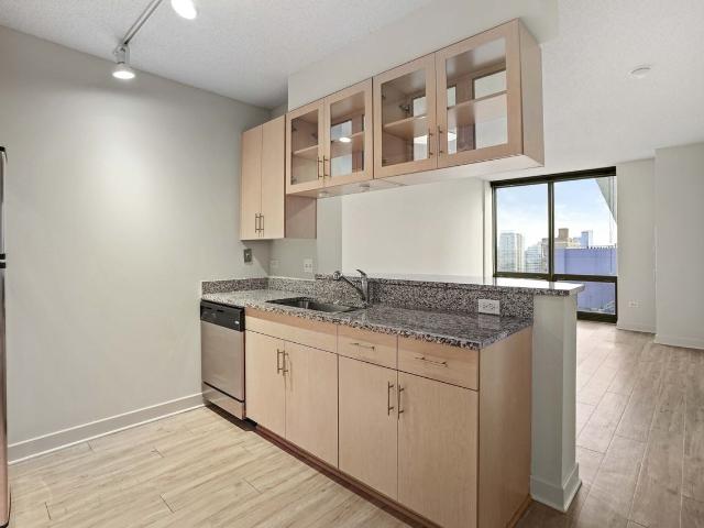 2 Bedroom Apartment for Rent at 1255 S Michigan Ave #2 1, Chicago, IL 60605 South Loop