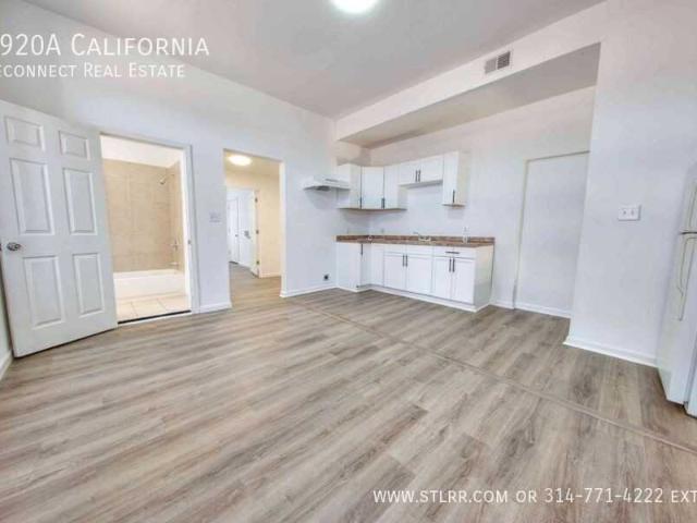 2 Bedroom Apartment for Rent at 3920A California Ave, St. Louis, MO 63118 Dutchtown South