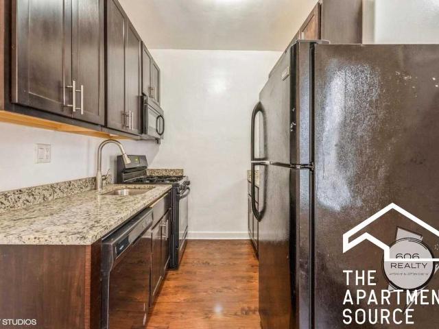 2 Bedroom Apartment for Rent at 5244 S Drexel Ave #B, Chicago, IL 60615 Hyde Park