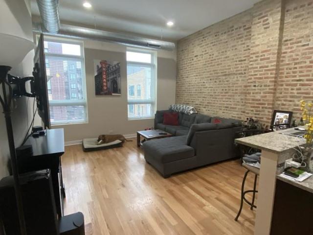2 Bedroom Apartment for Rent at 683 N Milwaukee Ave #305, Chicago, IL 60642 West Town