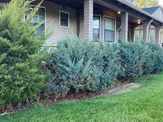 2 Bedroom Apartment for Rent at 7 W Caramillo St, Colorado Springs, CO 80907 North End