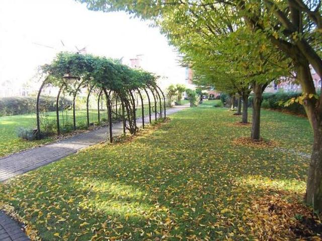 2 bedroom apartment for rent in Ocean Village, SO14