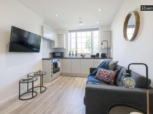 2 Bedroom Apartment London London 101836160