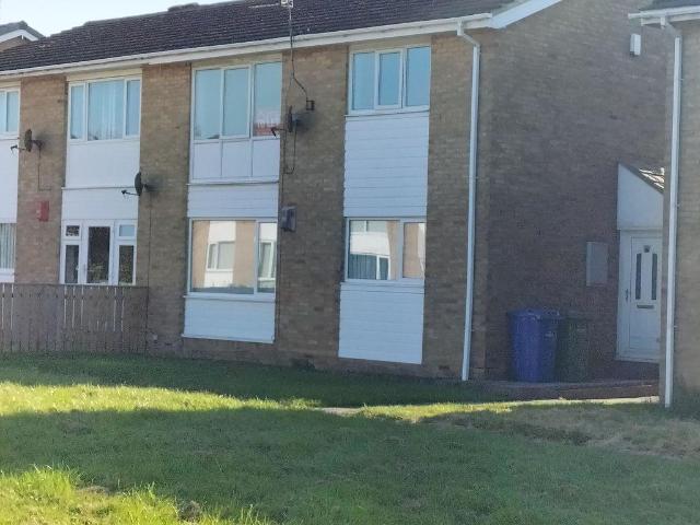 2 bedroom apartment to rent
