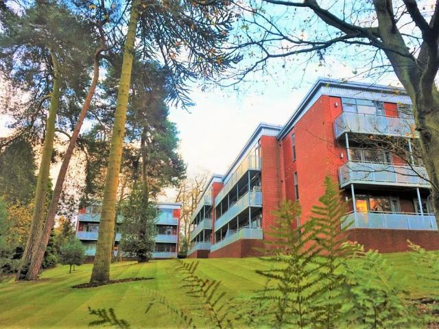 2 bedroom apartment to rent
