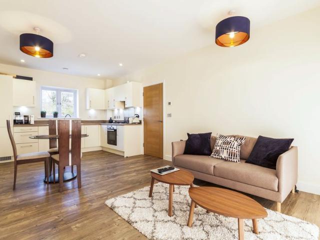 2 bedroom apartment to rent